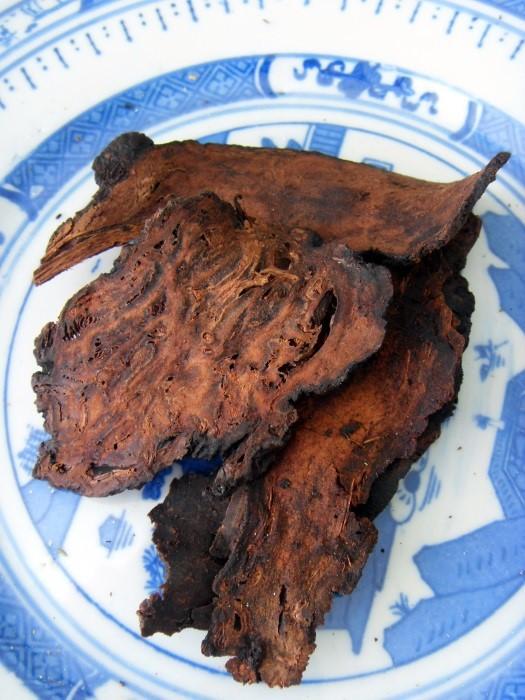 Radix Polygoni Multiflori / Fleeceflower root / 何首烏 / he shou wu