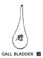 Gallbladder Functions from a TCM perspective