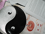 Understanding Kidney Yin and Kidney Yang