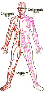 What is Meridian System