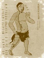 3. Leg Yang Ming Stomach Meridian