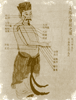 Arm Tai Yang Small Intestine Meridian, SI