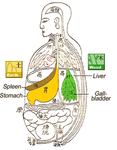 Peptic Ulcer