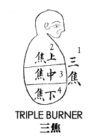 Triple Burner Functions from a TCM Perspective
