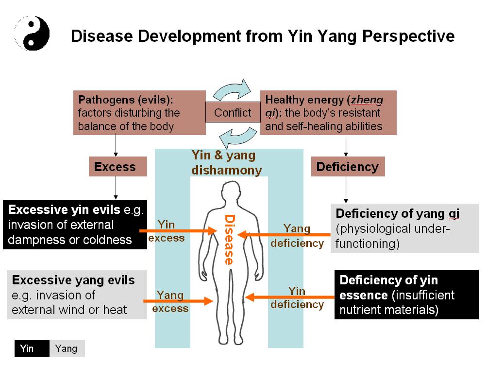 Yin Yang Application in TCM Pathology