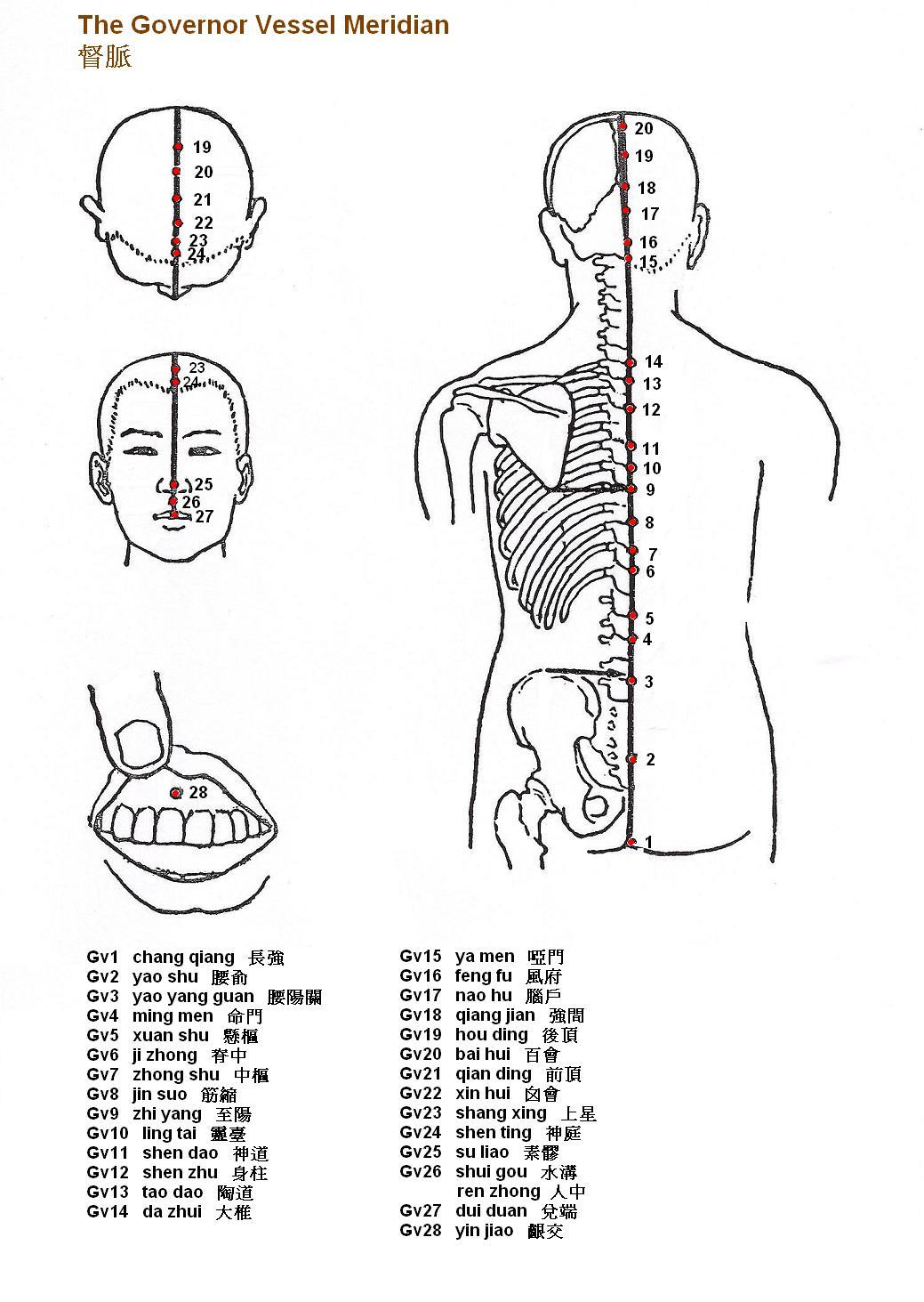 Eight Extra Meridians in Acupuncture