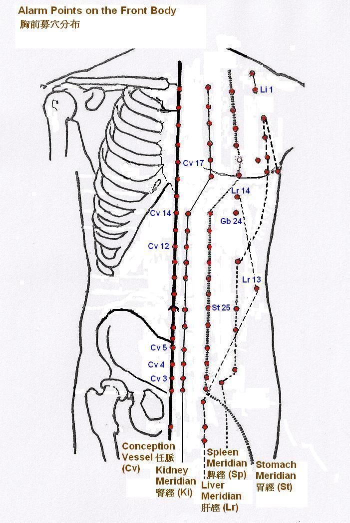 Back Transport Points and Alarm Points of Meridians